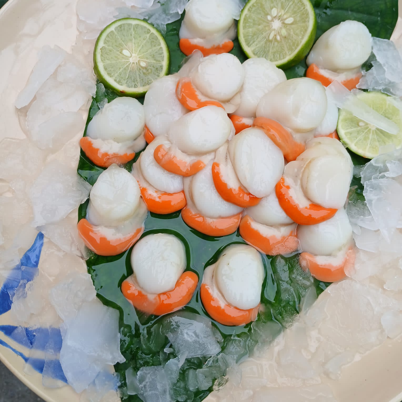 Scallop Meat with Roe – Samudera Jaya Fishery